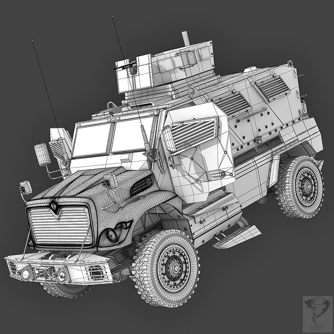 max maxx pro international category