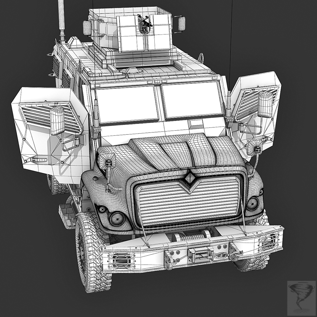 max maxx pro international category