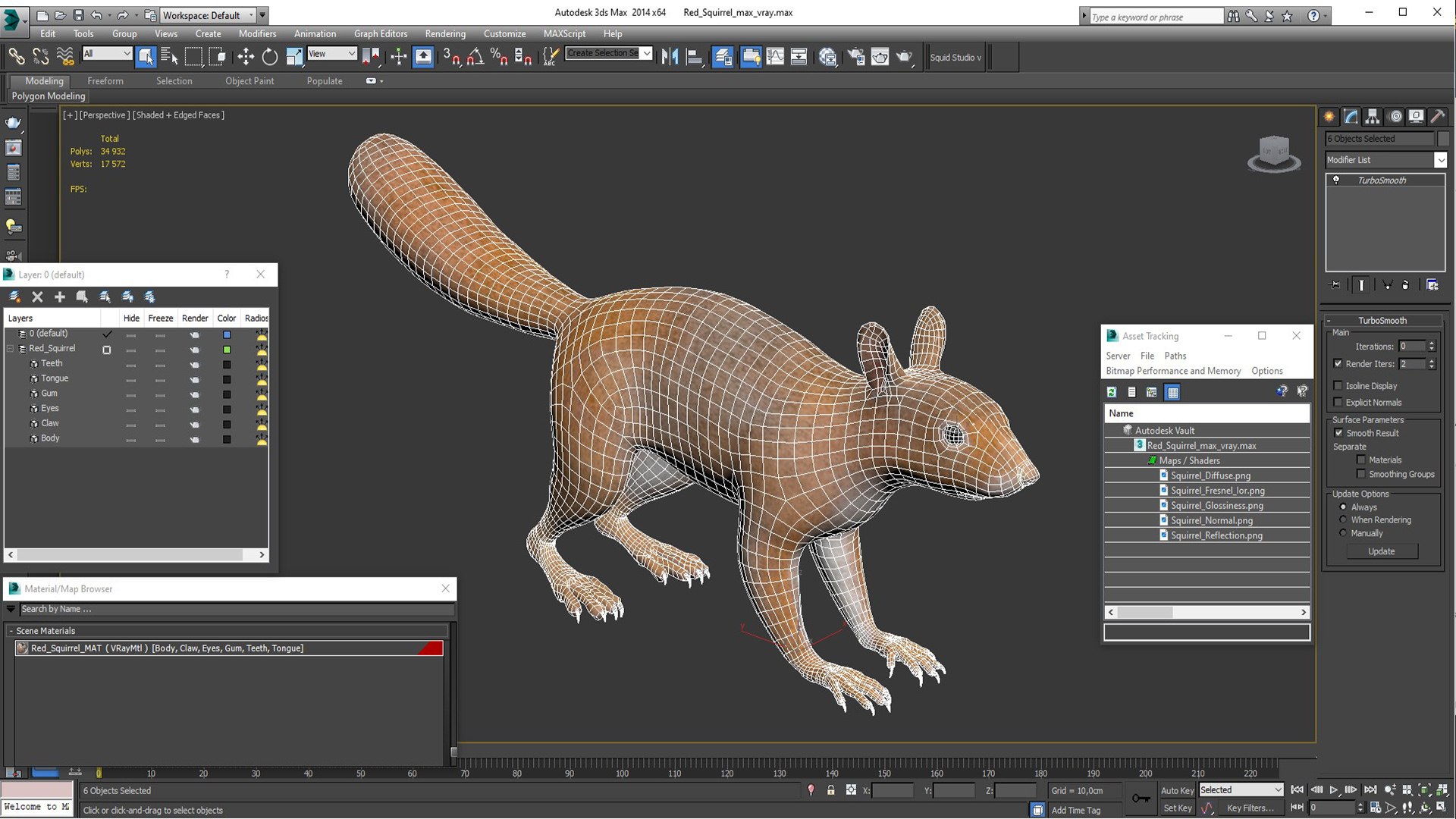 3D Red Squirrel Model - TurboSquid 2261930
