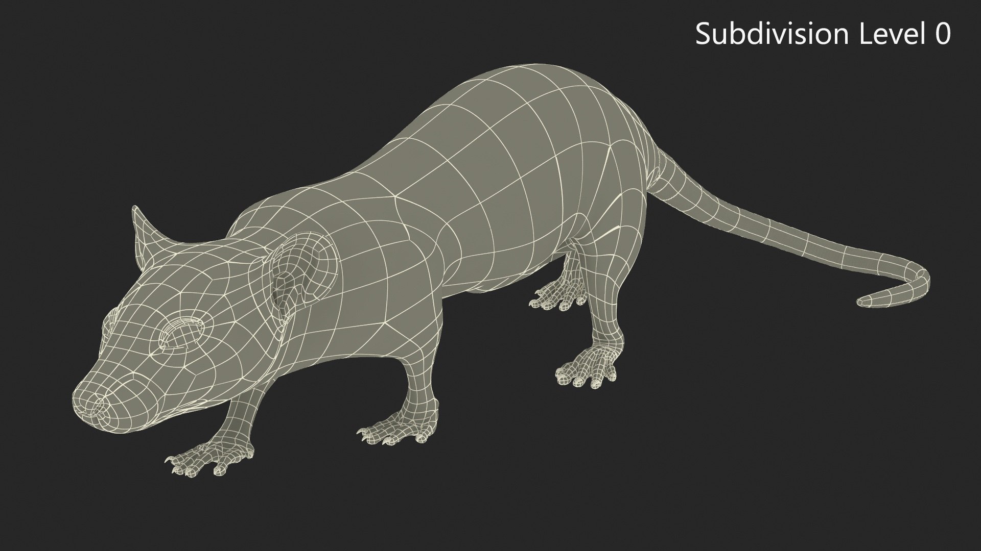 Realistic Dumbo Rat Fur 3D - TurboSquid 2325082