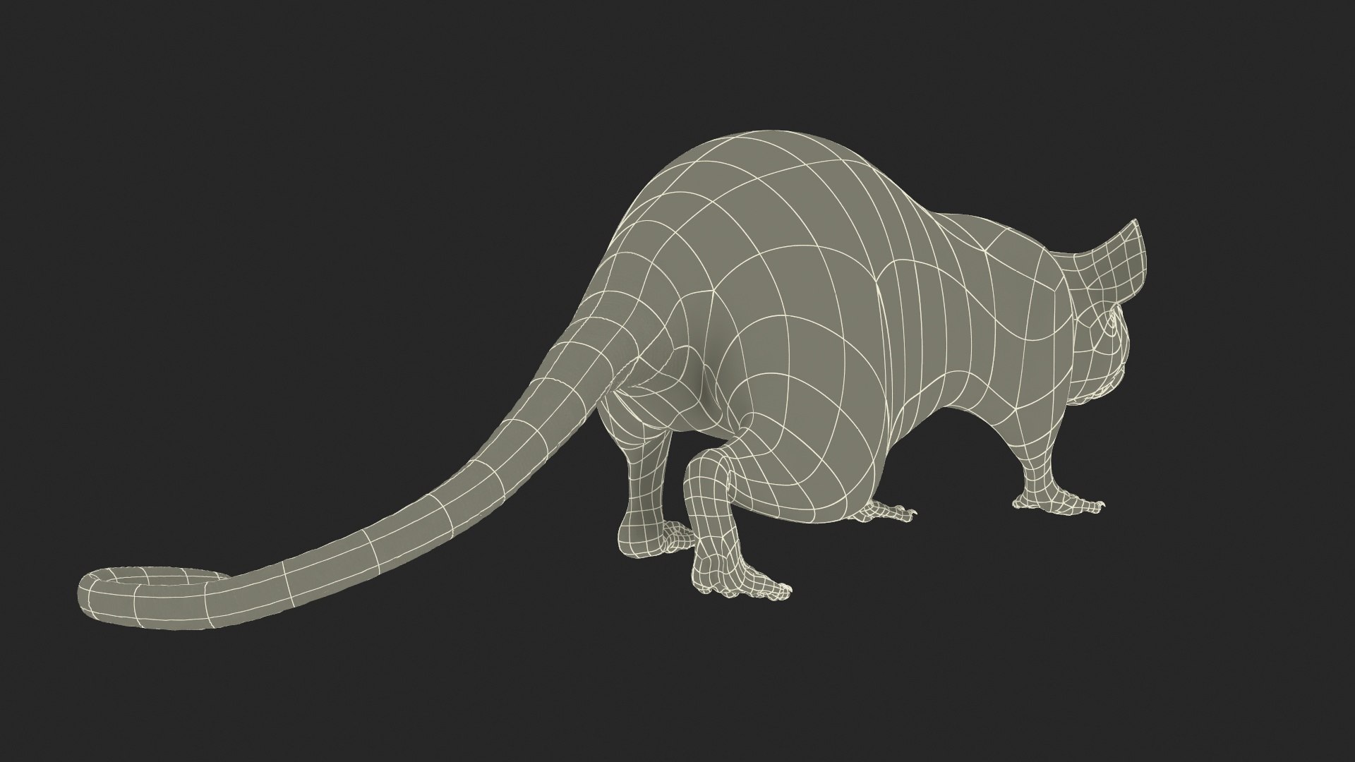 Realistic Dumbo Rat Fur 3D - TurboSquid 2325082