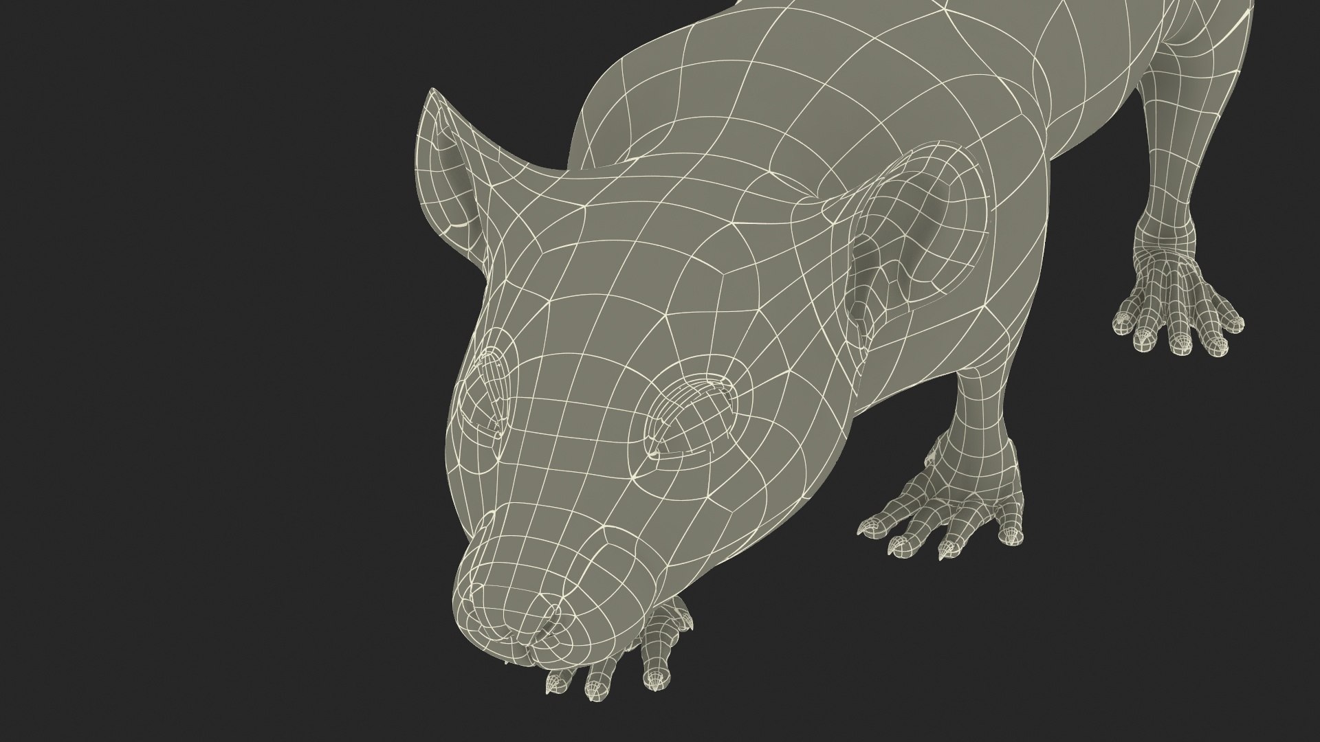 Realistic Dumbo Rat Fur 3D - TurboSquid 2325082