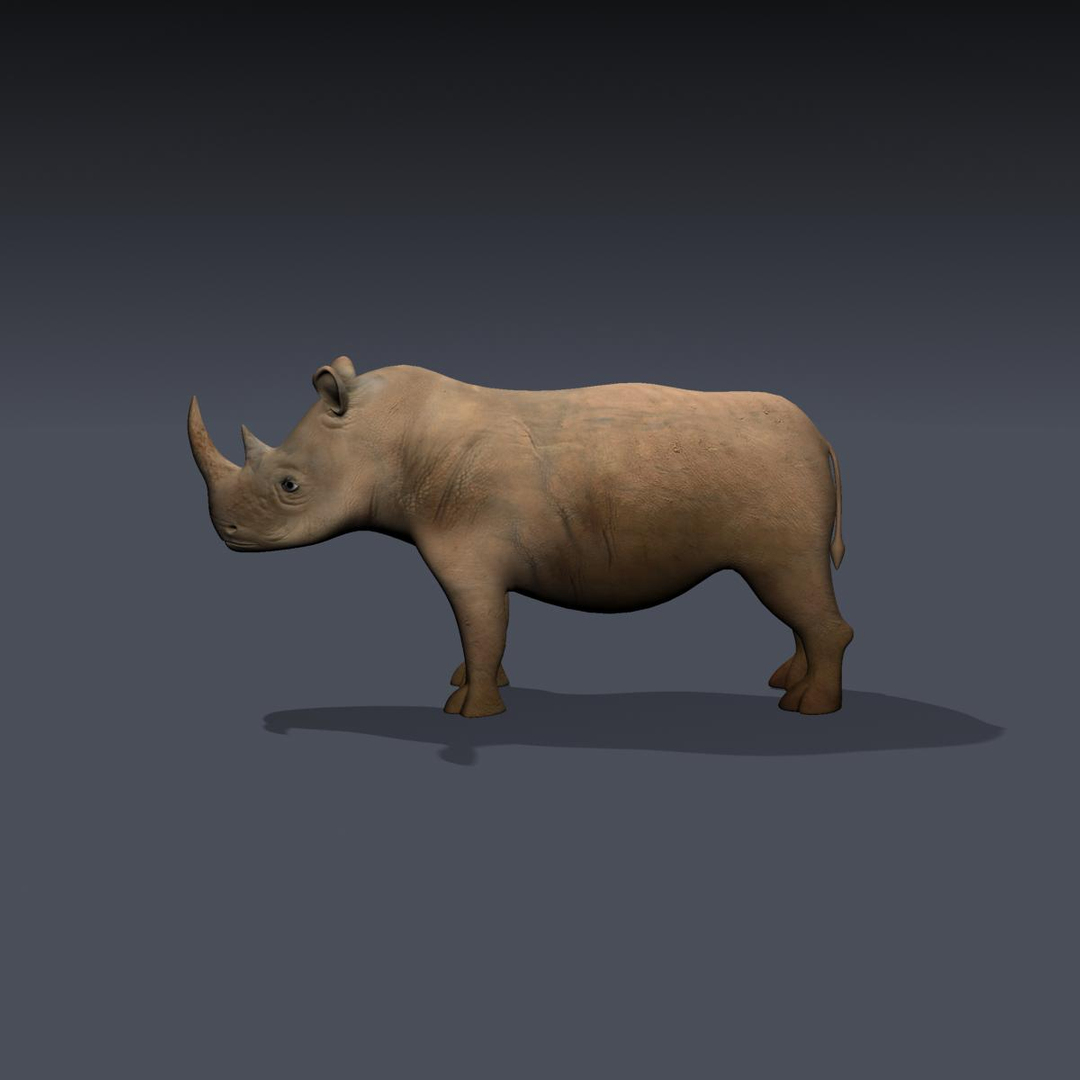 Rhinoceros Animation 3d Max