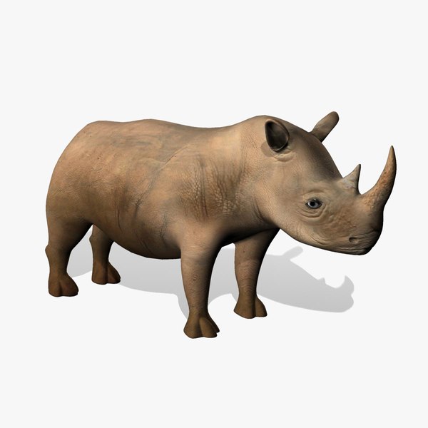 rhinoceros animation 3d max