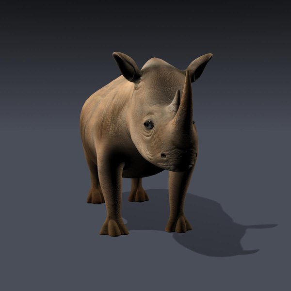 rhinoceros animation 3d max