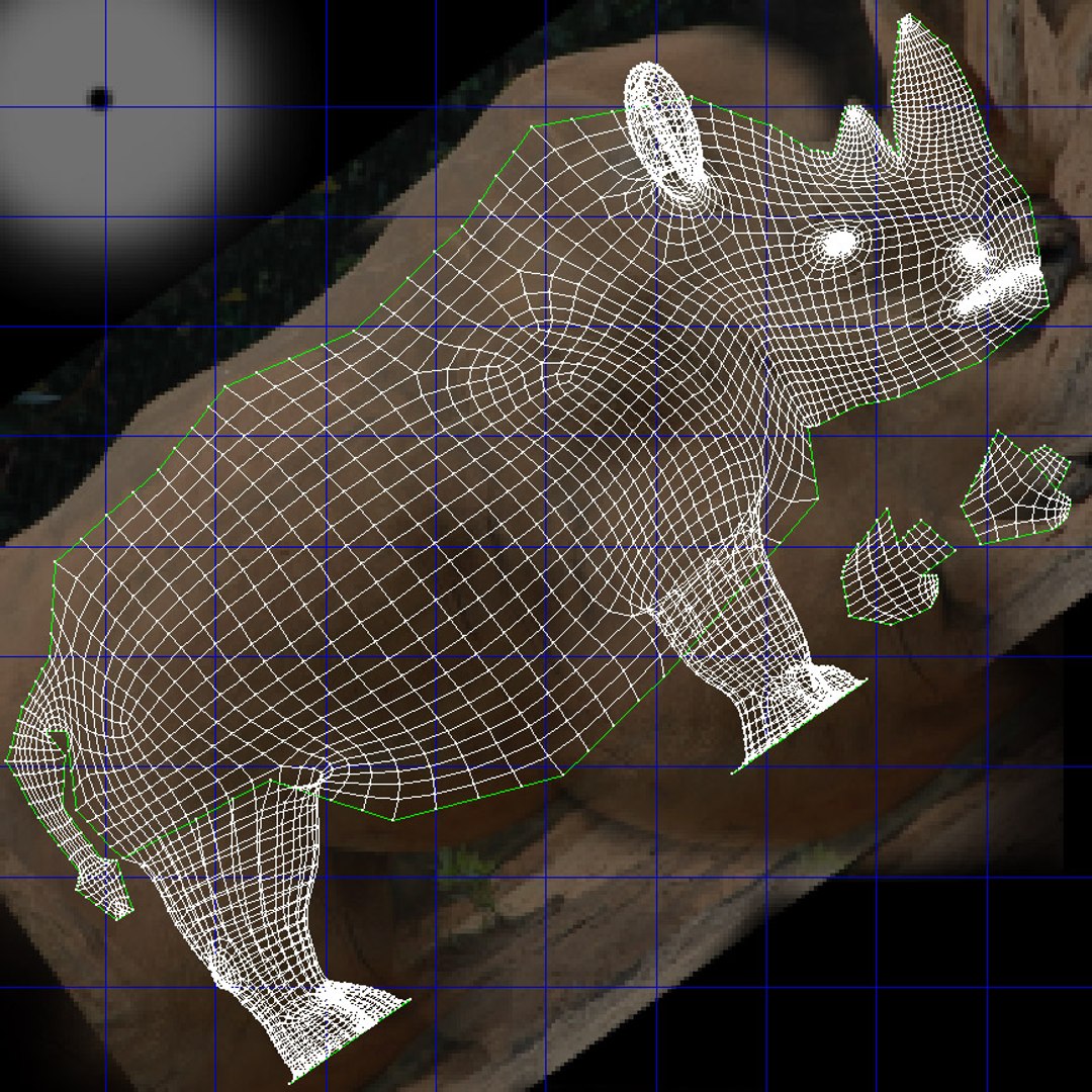 Rhinoceros Animation 3d Max