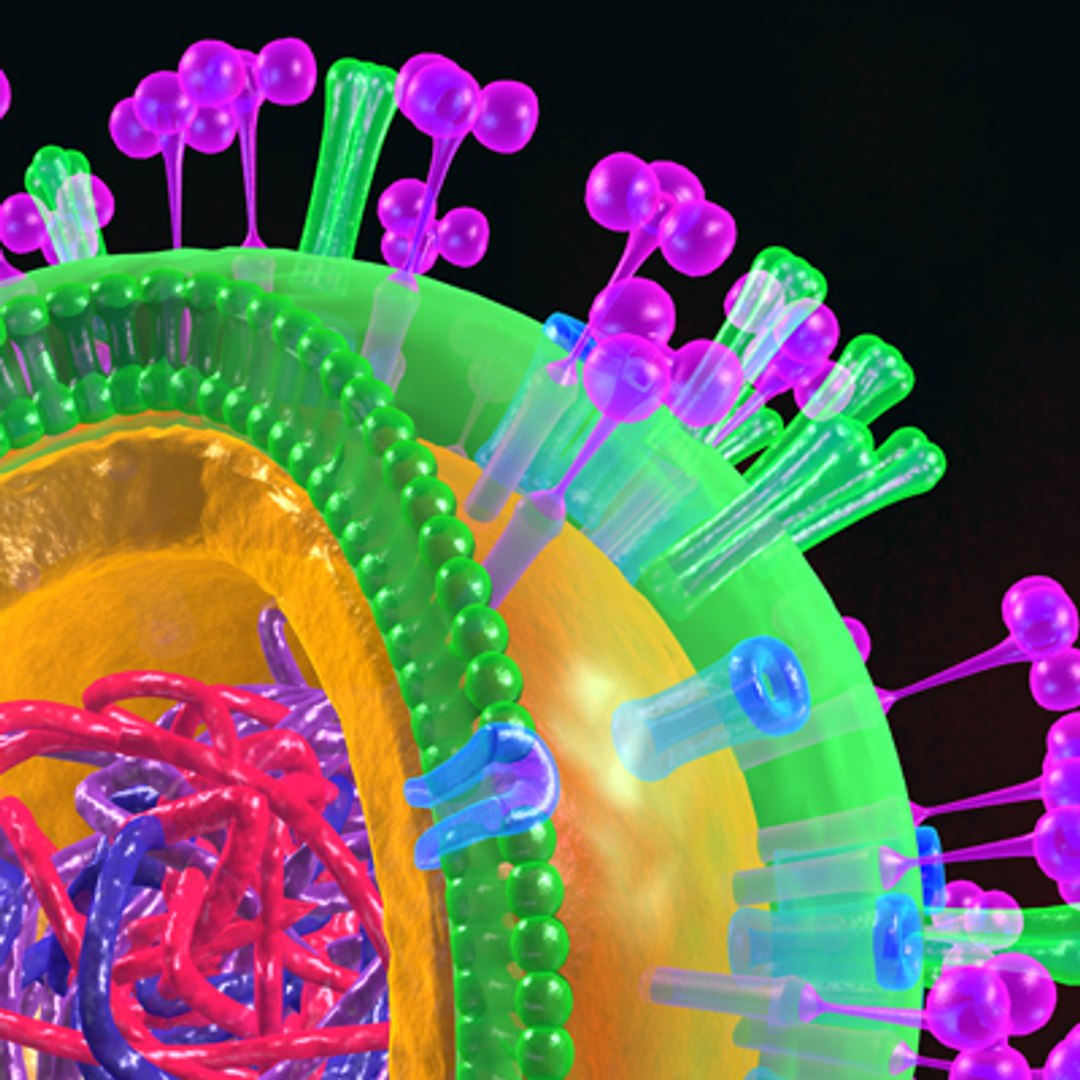 H1n1 Swine Flu Virus 3d Max