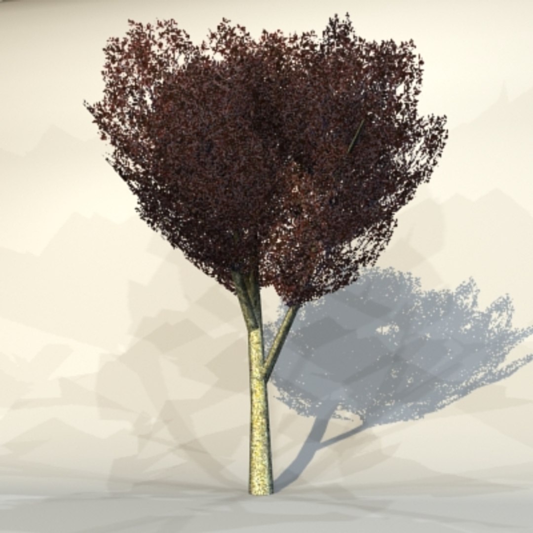 3d Autumn Trees Model
