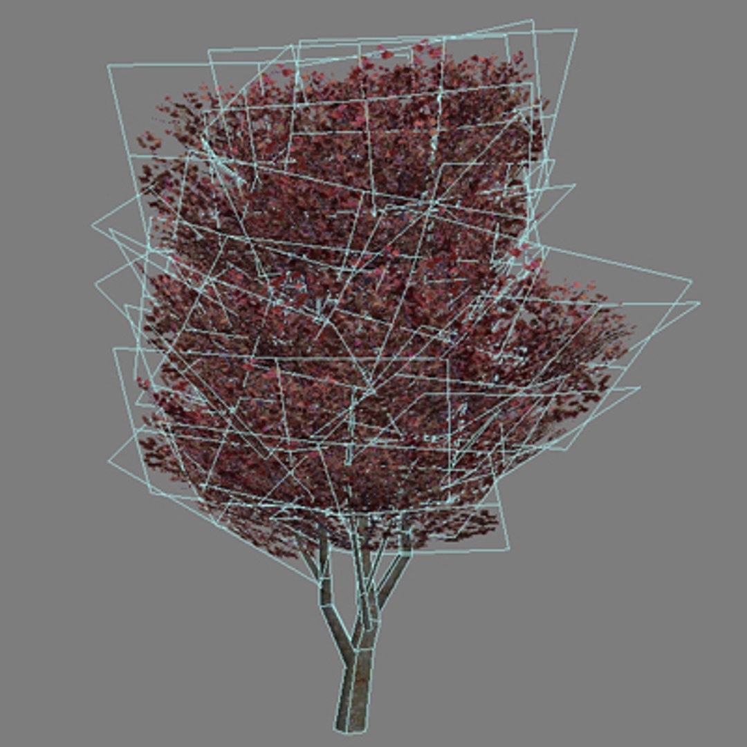 3d Autumn Trees Model