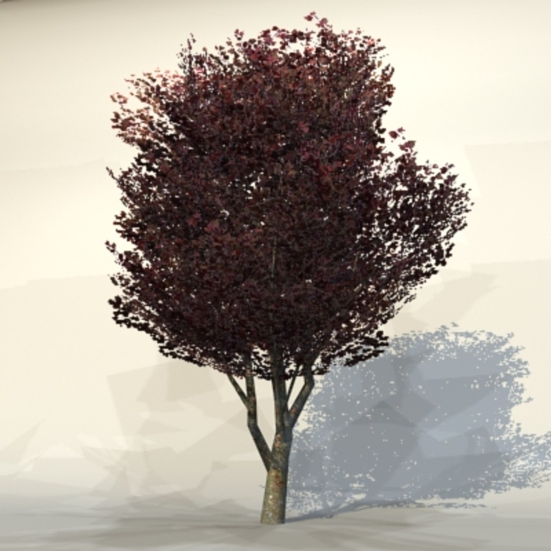 3d Autumn Trees Model