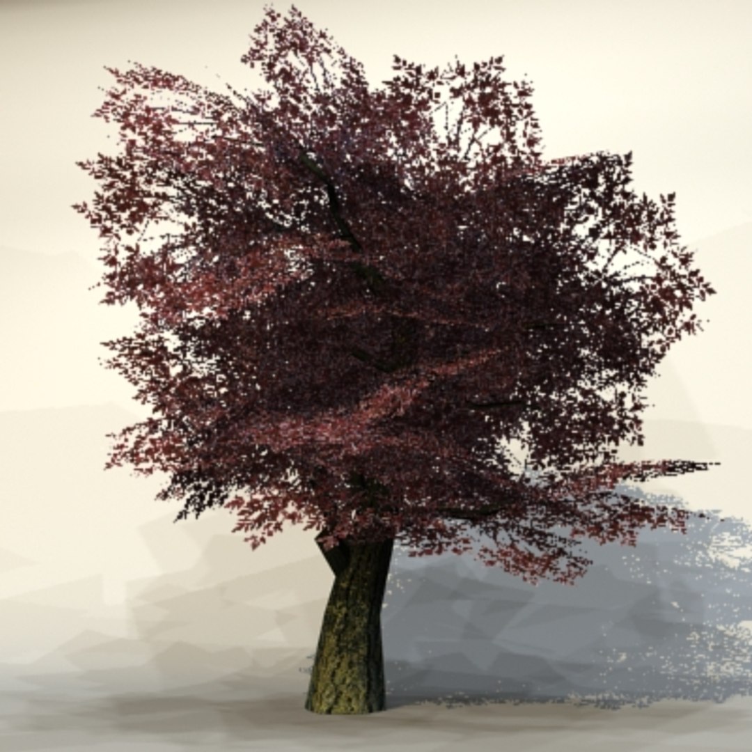 3d Autumn Trees Model