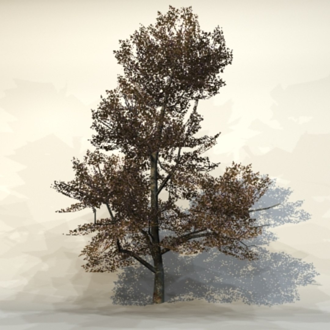 3d Autumn Trees Model
