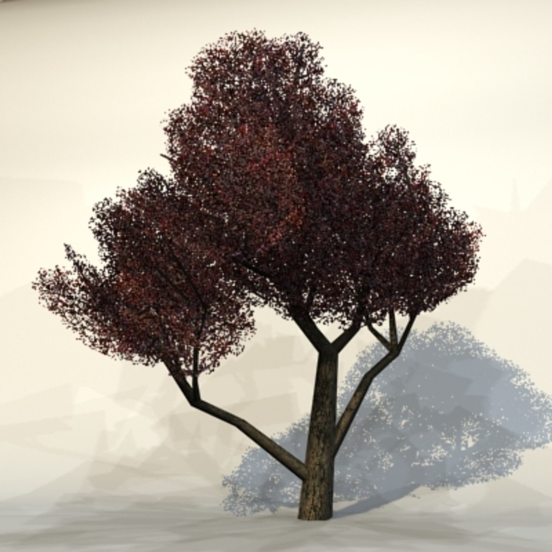 3d Autumn Trees Model