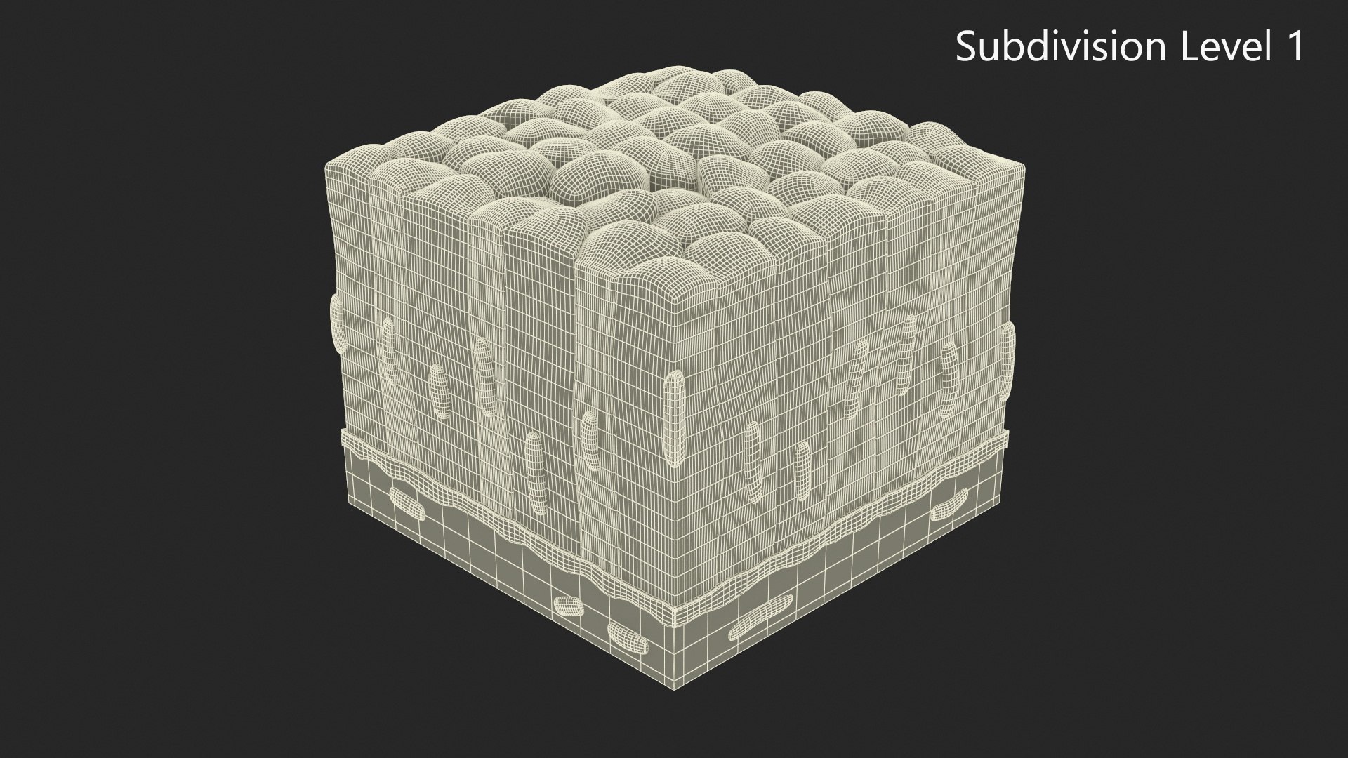 3D Columnar Epithelium Model - TurboSquid 2235610