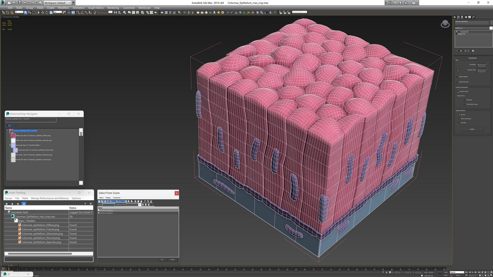 3D Columnar Epithelium Model - TurboSquid 2235610