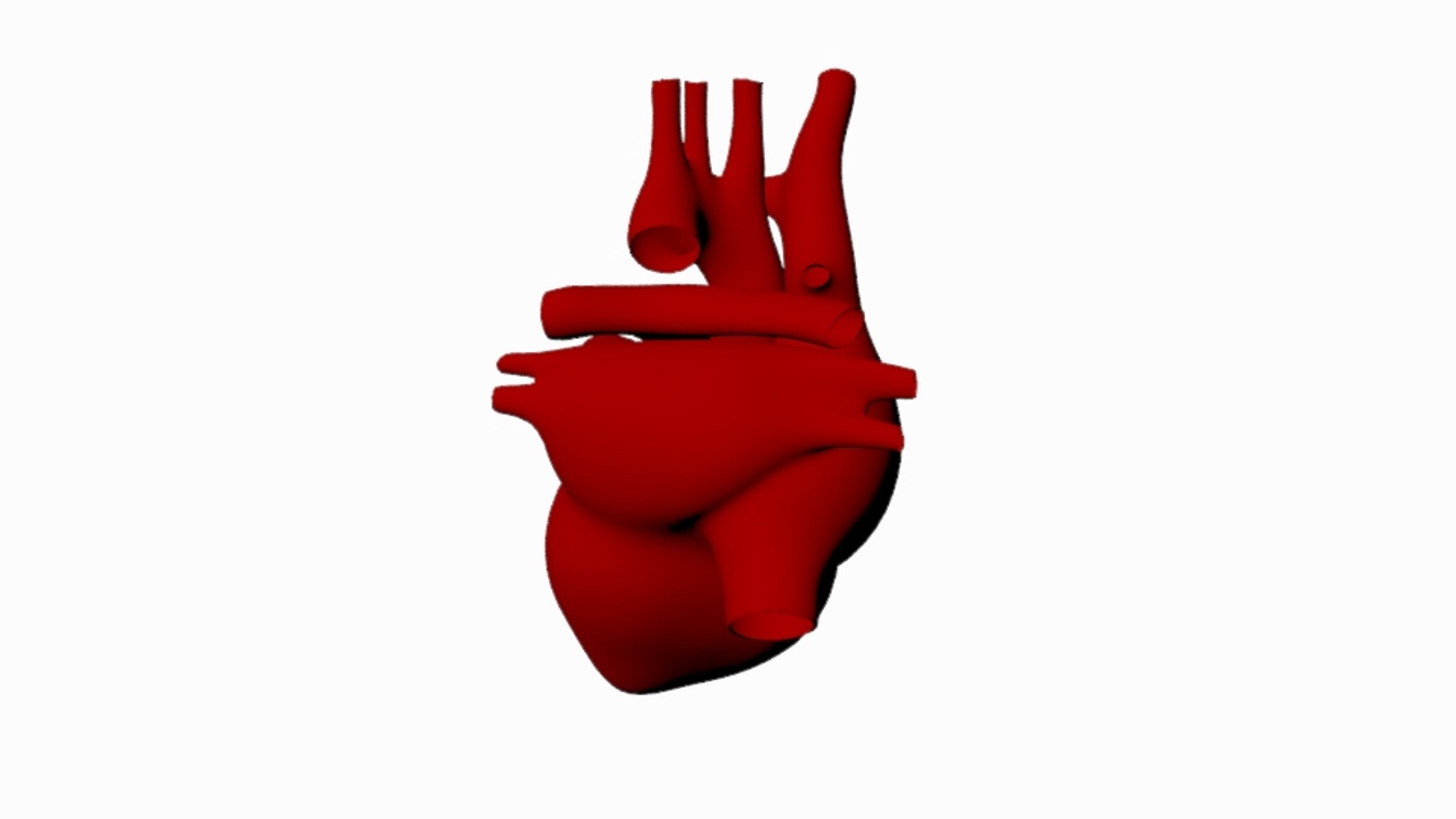 3D Real Heart Model - TurboSquid 1423798