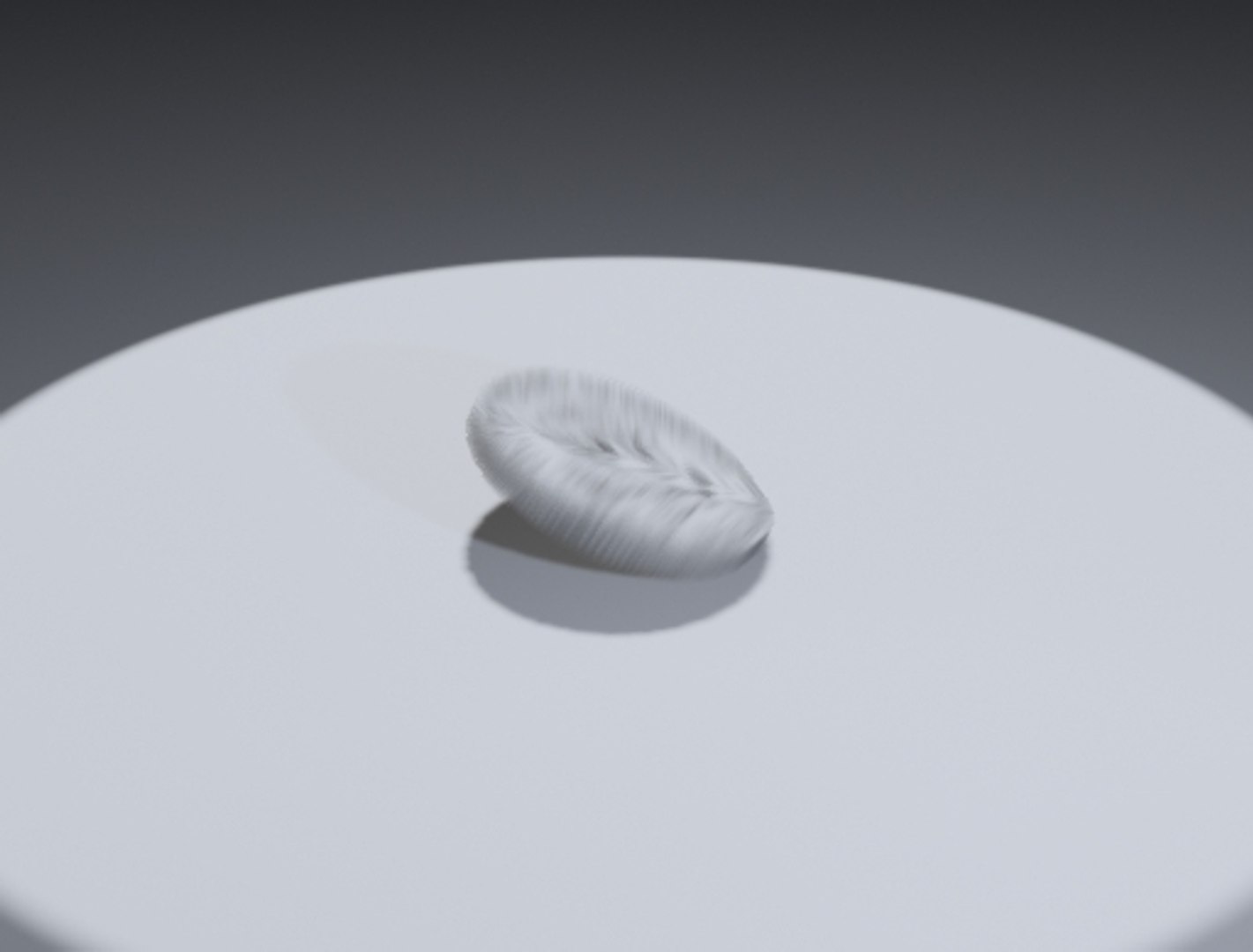 Free Coin Animation 3d Model