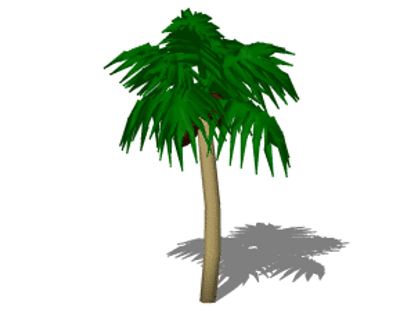 3d Palm Tree Model