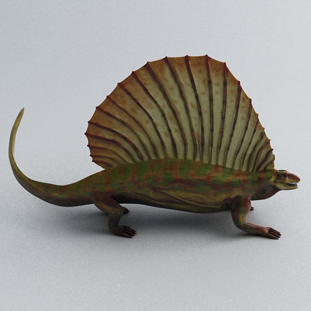 Edaphosaurus 3d Model