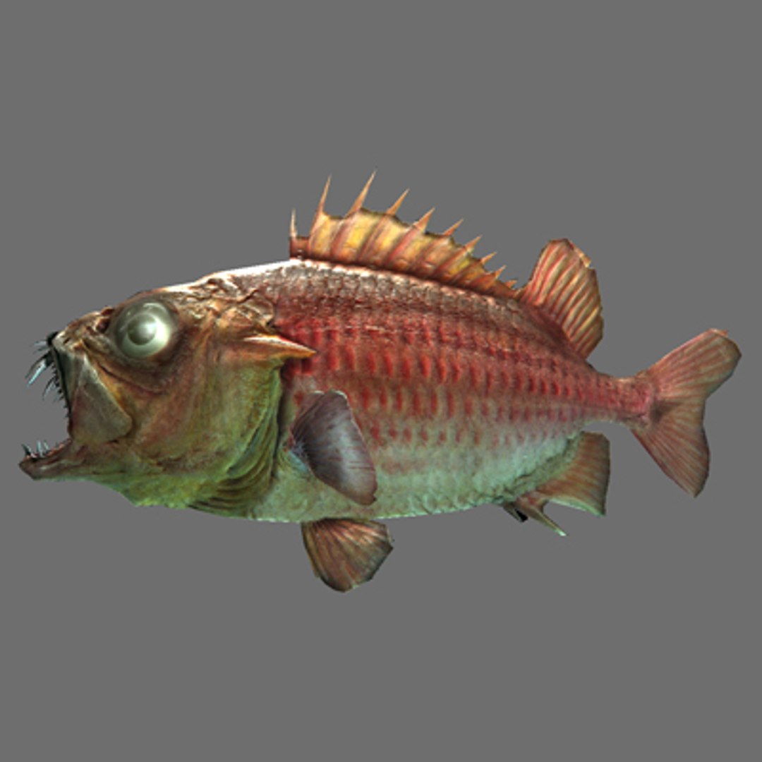School Fish Games 3d Max