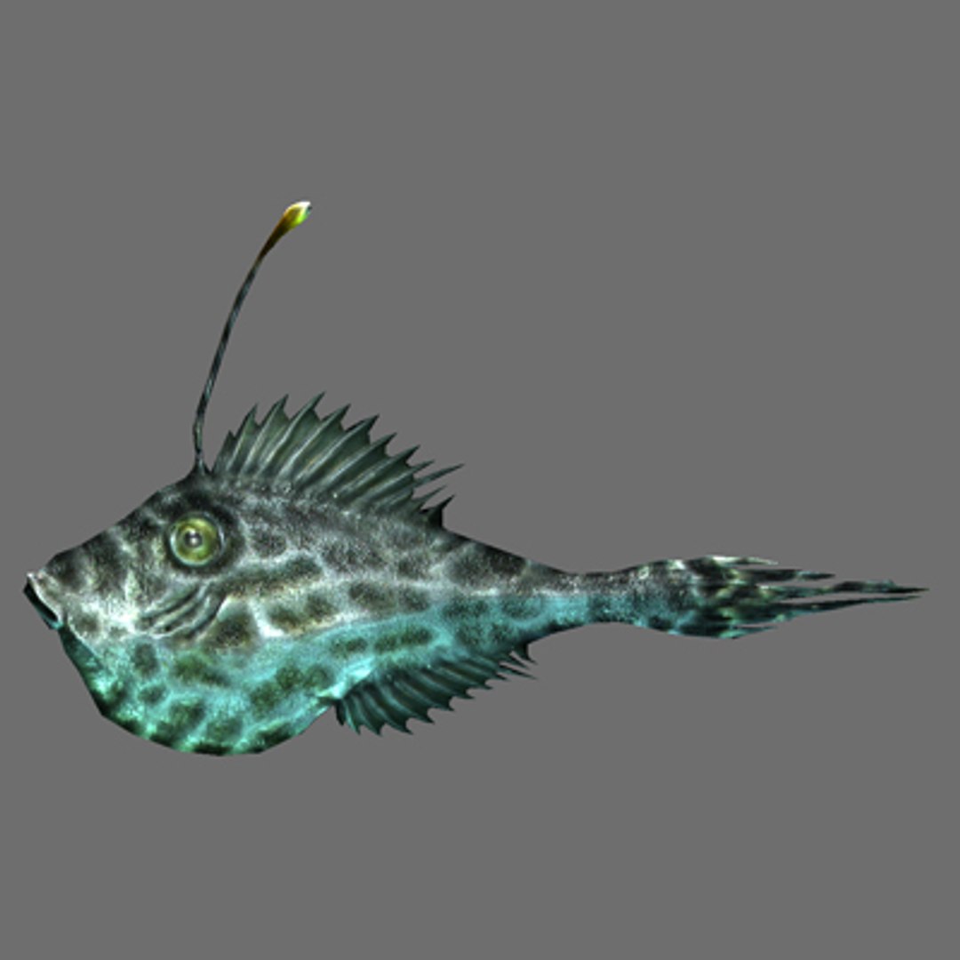 School Fish Games 3d Max