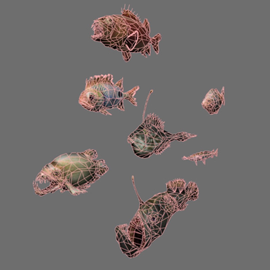 School Fish Games 3d Max