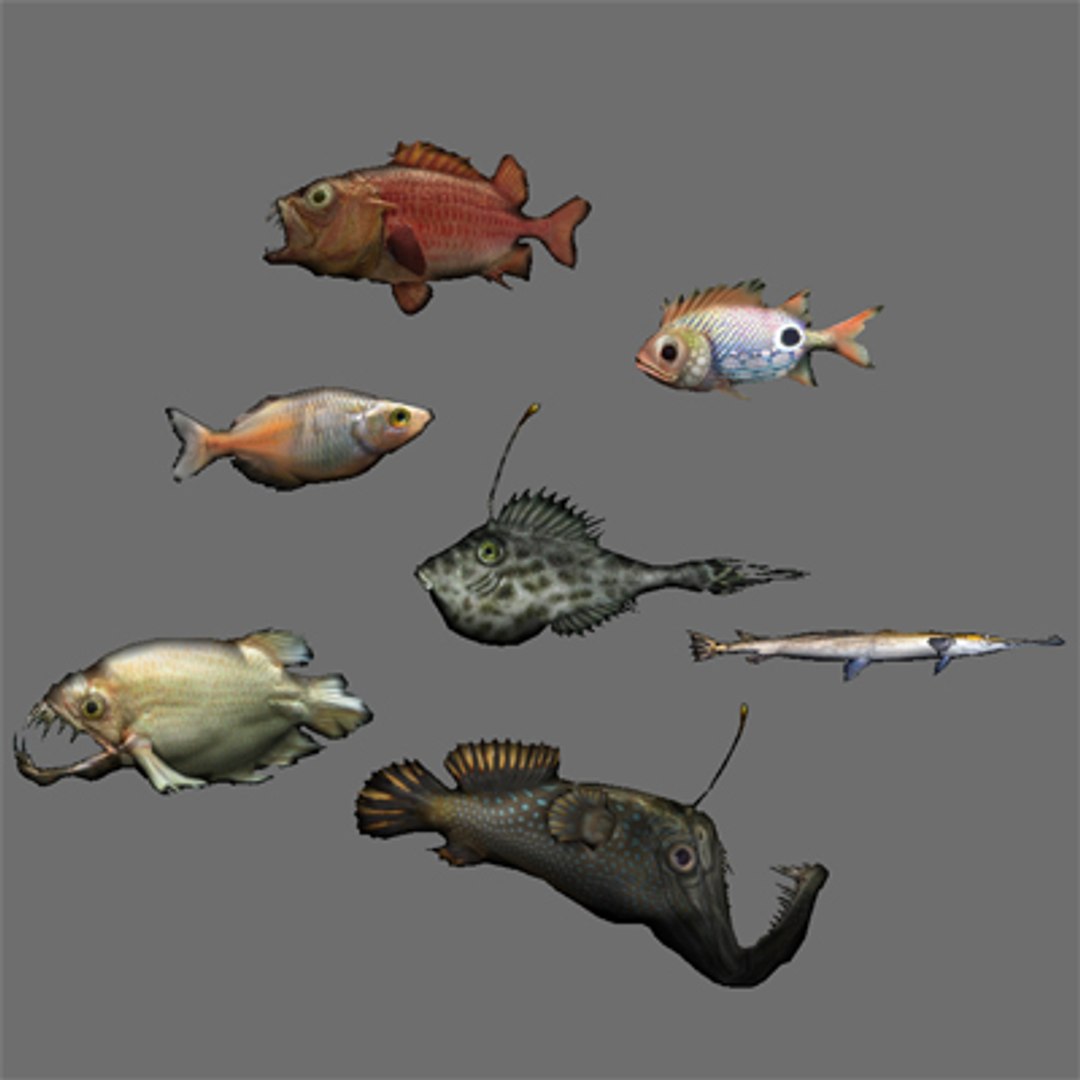 School Fish Games 3d Max