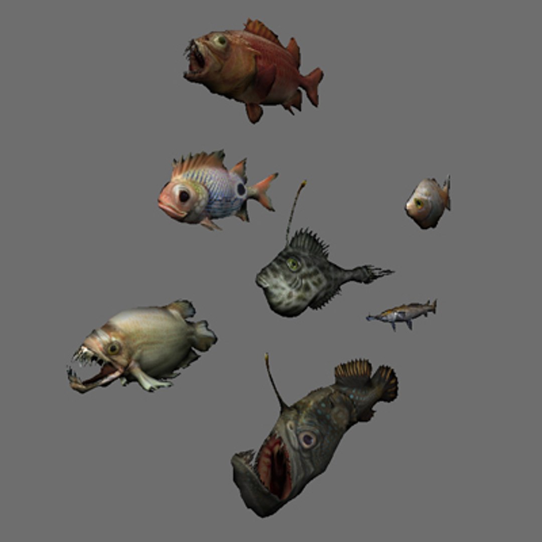 School Fish Games 3d Max