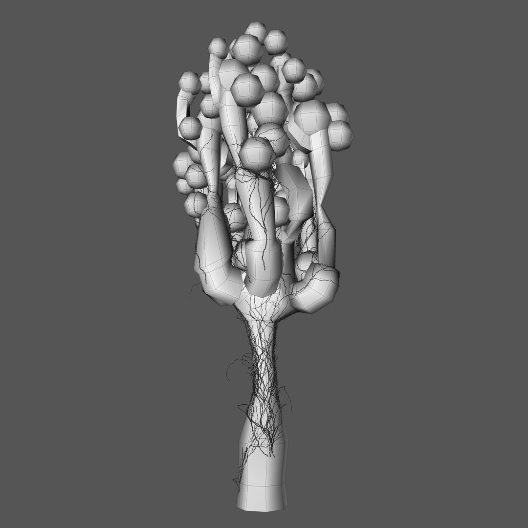 Penicillin Fungus 3d C4d