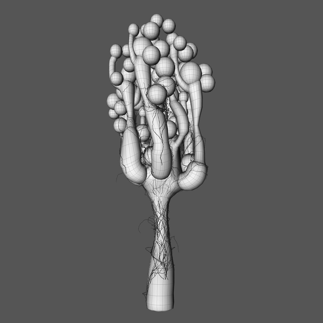 Penicillin Fungus 3d C4d