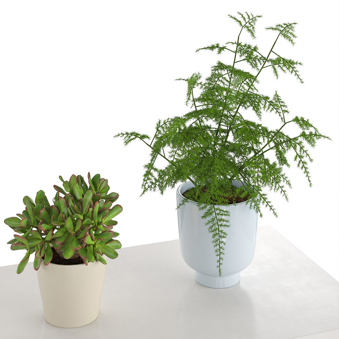 Rack Kane-13 White 3D - TurboSquid 2214743