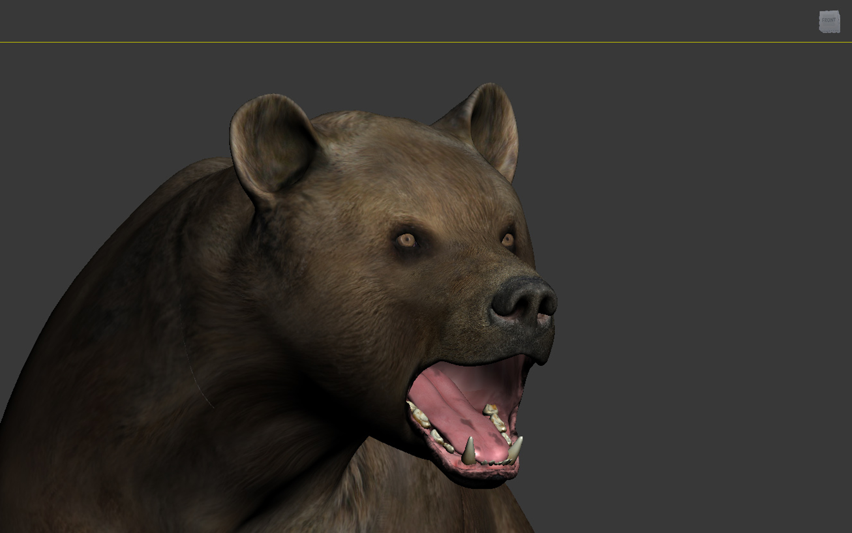 3d bear animation