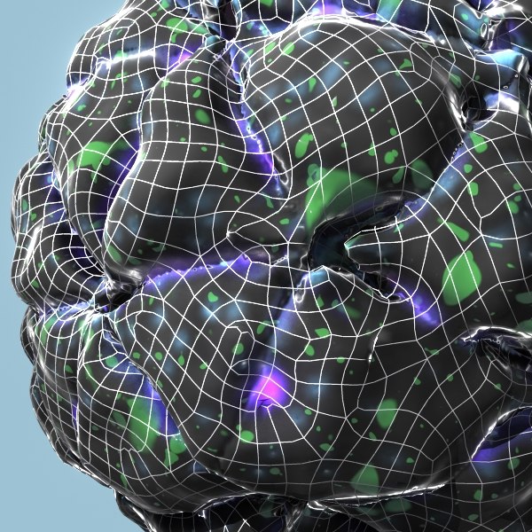 max black beetle virus