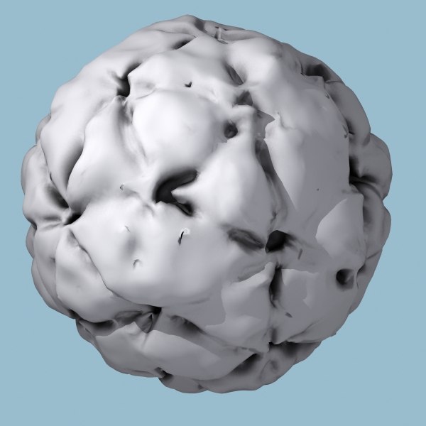 max black beetle virus