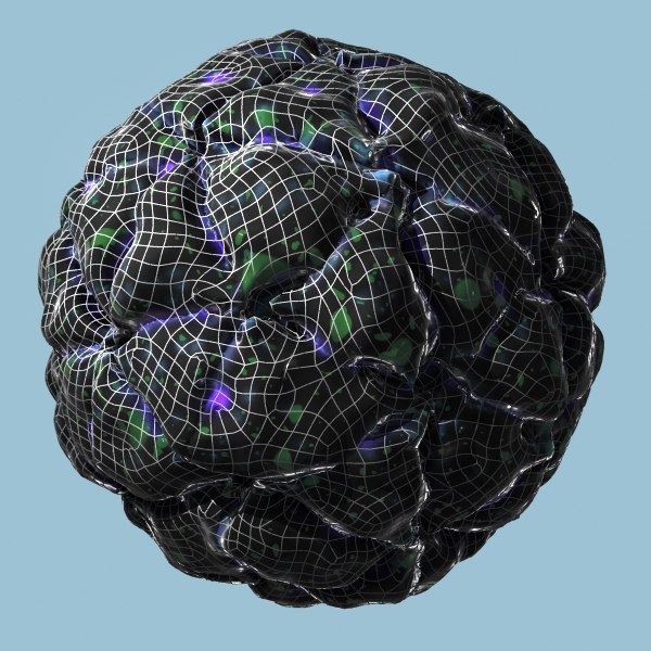 max black beetle virus