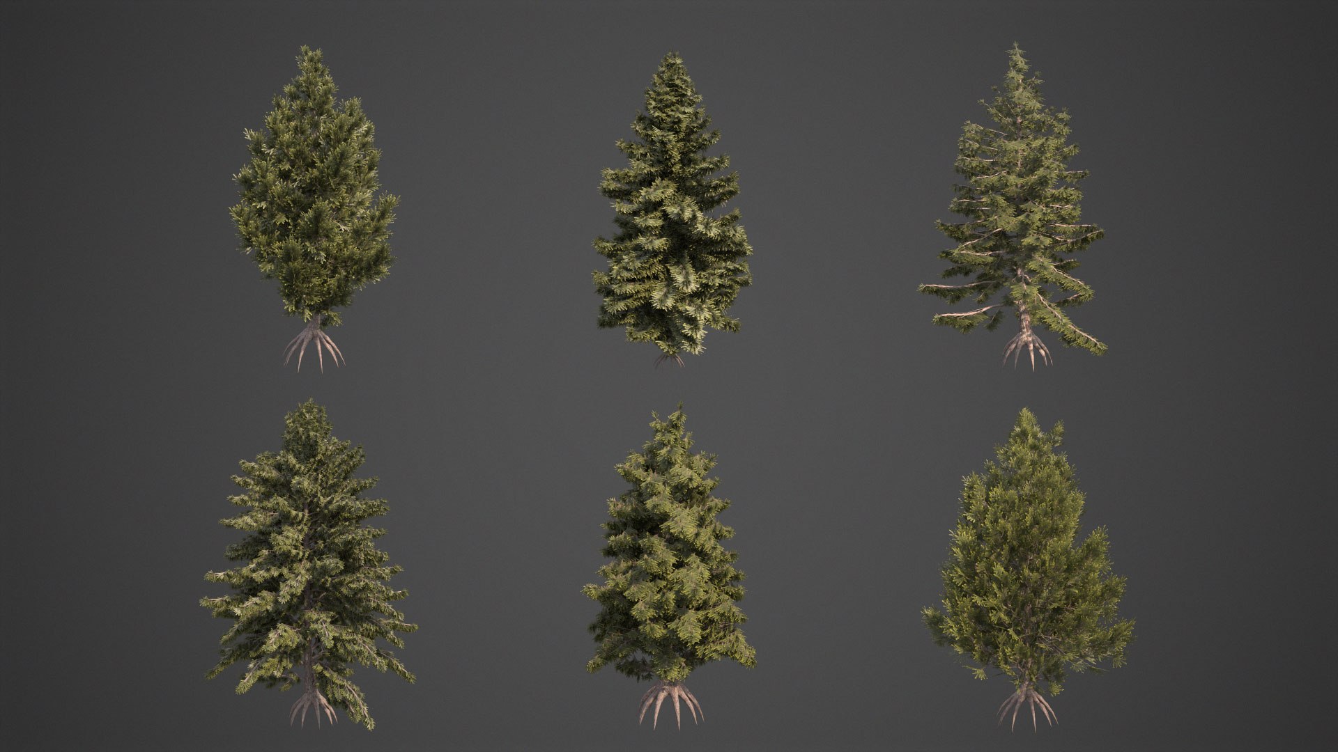 Tree Nature Conifer 3D Model - TurboSquid 1676994