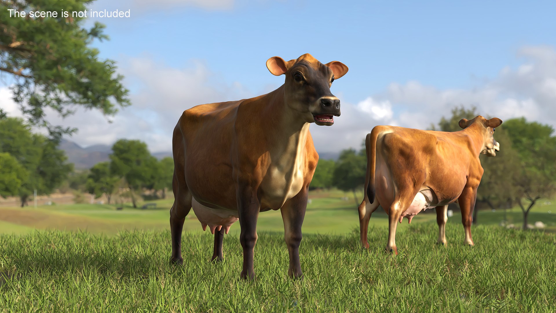 3D Cattle Cow - TurboSquid 2311815