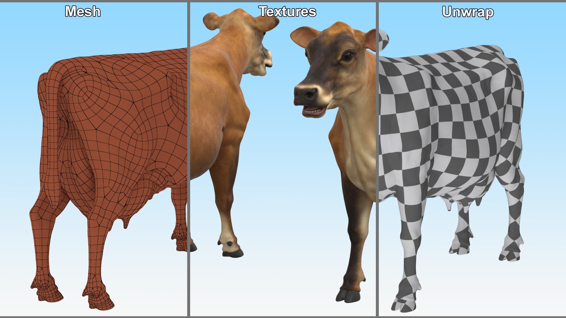 3D Cattle Cow - TurboSquid 2311815
