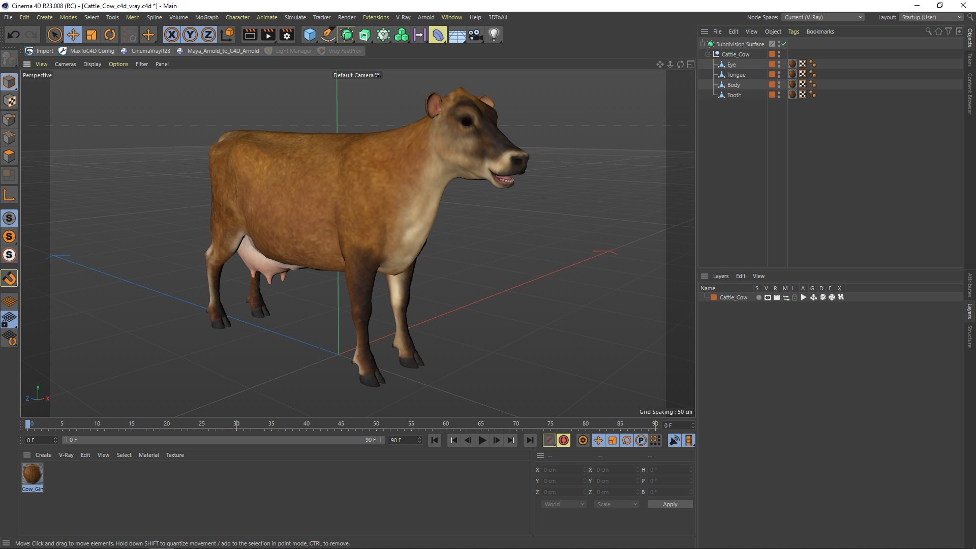 3D Cattle Cow - TurboSquid 2311815