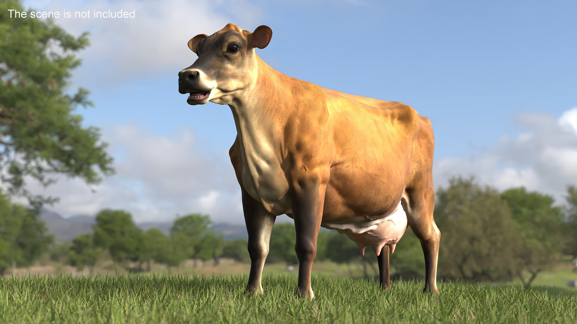 3D Cattle Cow - TurboSquid 2311815