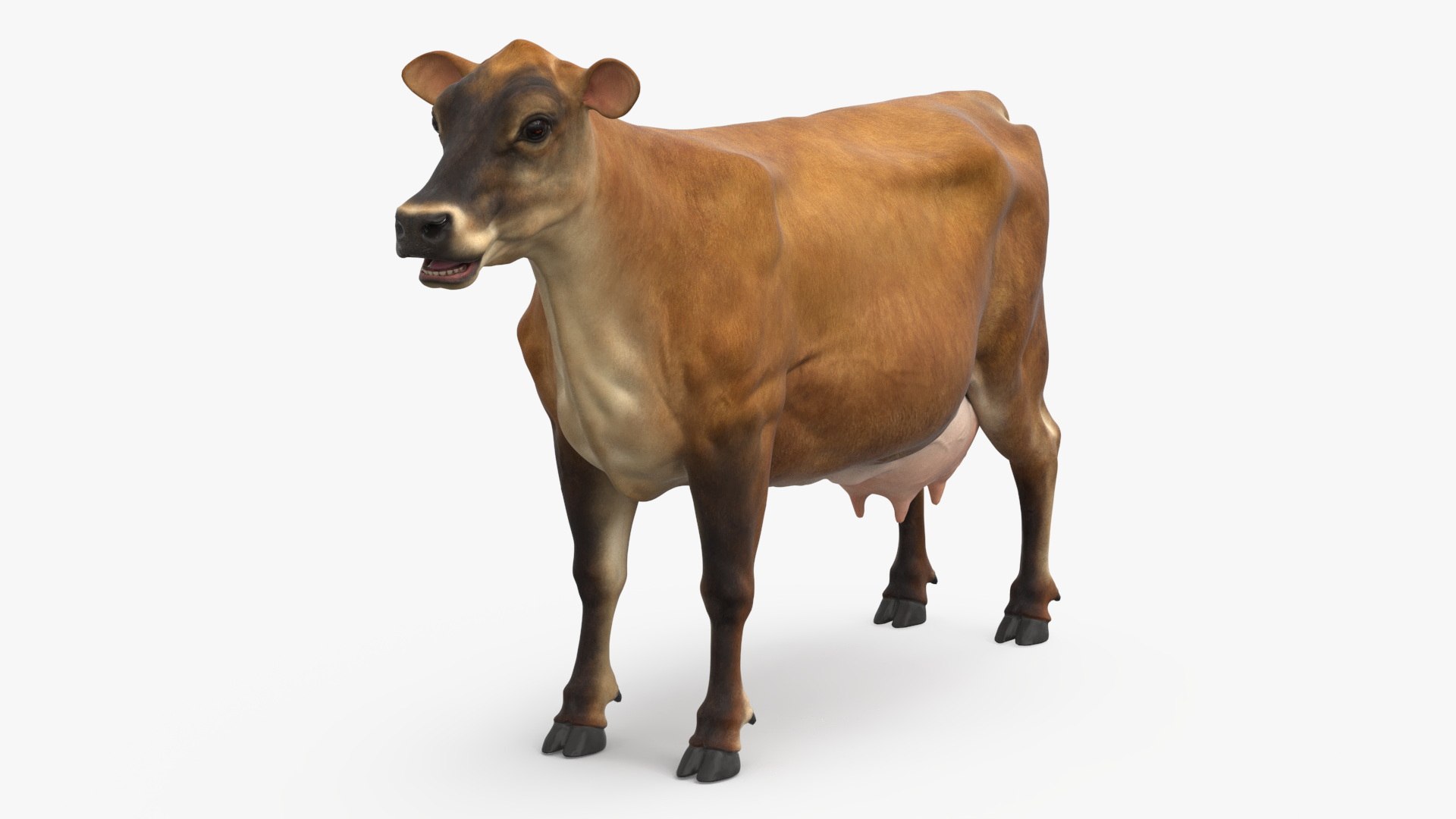 3D Cattle Cow - TurboSquid 2311815
