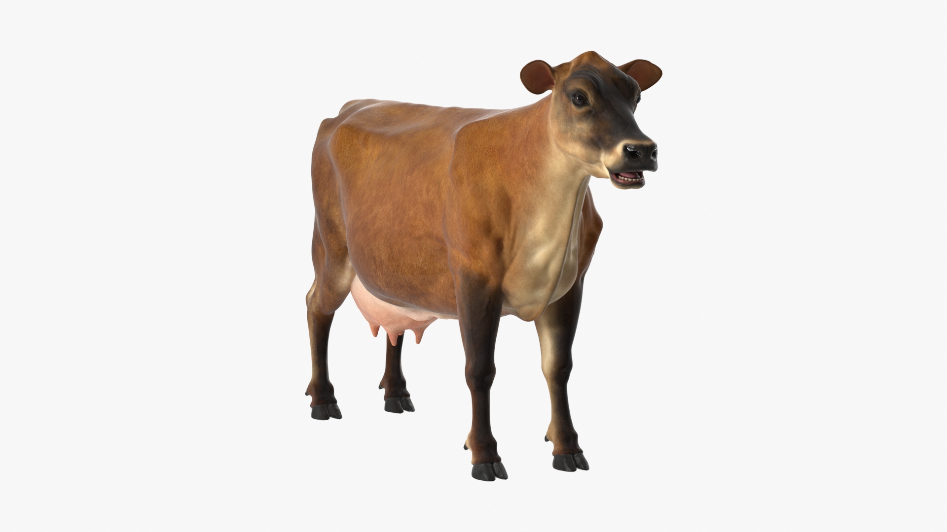 3D Cattle Cow - TurboSquid 2311815