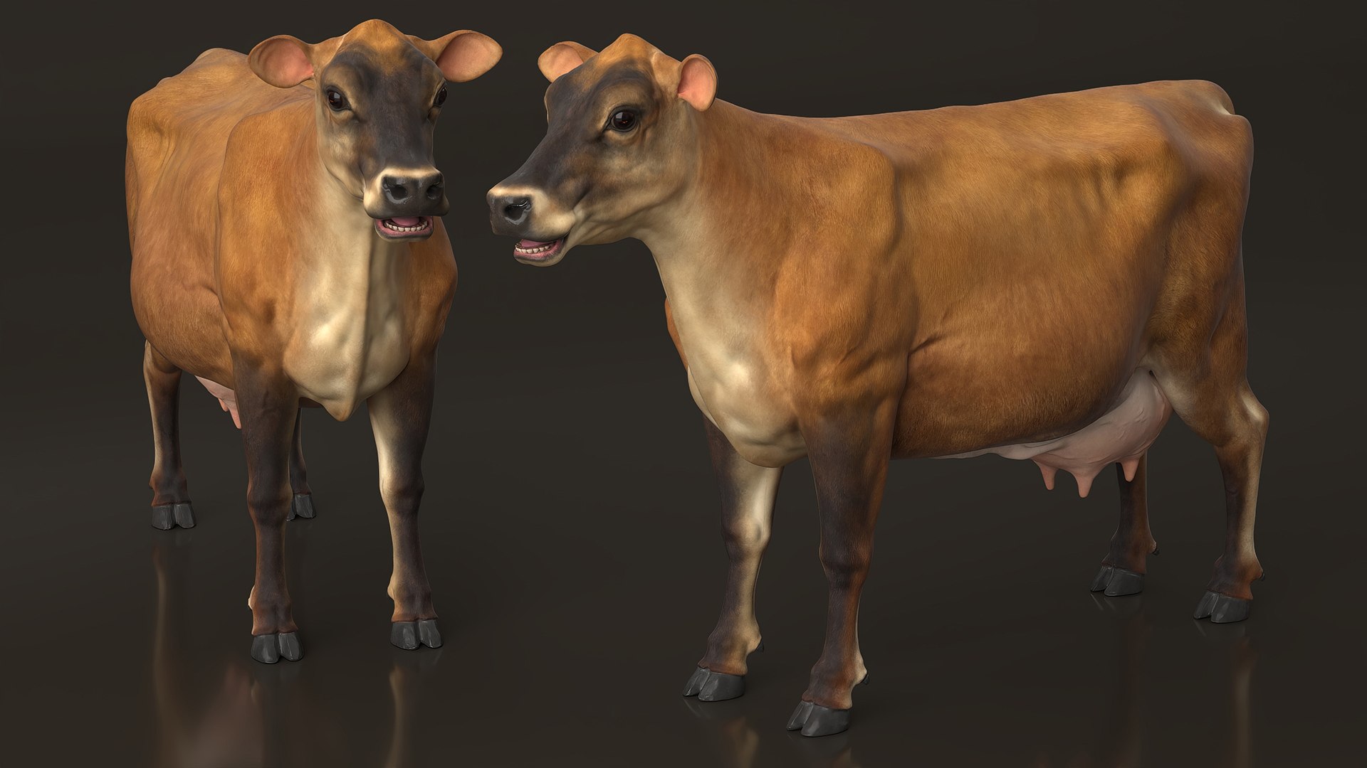 3D Cattle Cow - TurboSquid 2311815