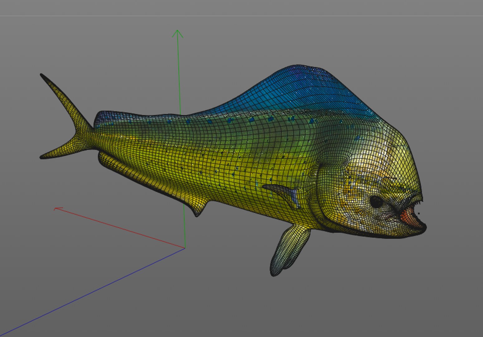 Fish Model - TurboSquid 1551938