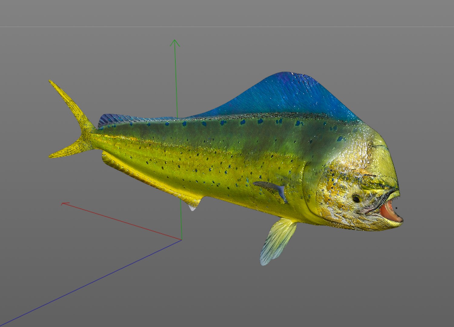 Fish Model - TurboSquid 1551938