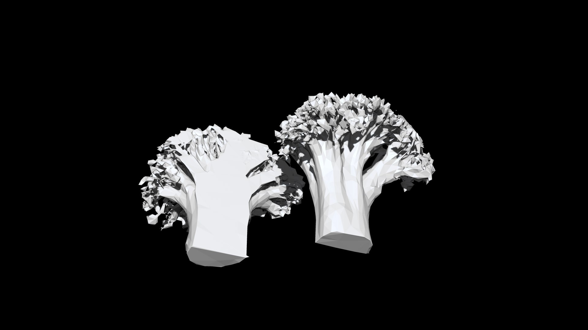 Broccoli Cut 3D CT Scan Model 7 Decimate 10percent 3D - TurboSquid 1886497