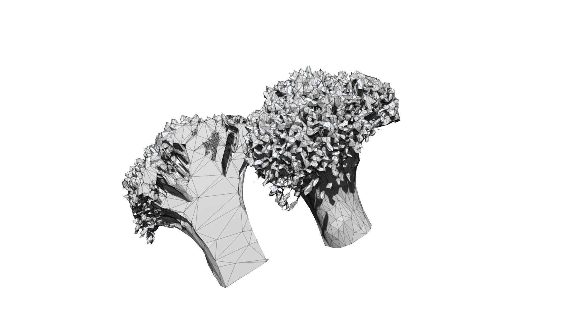 Broccoli Cut 3D CT Scan Model 7 Decimate 10percent 3D - TurboSquid 1886497