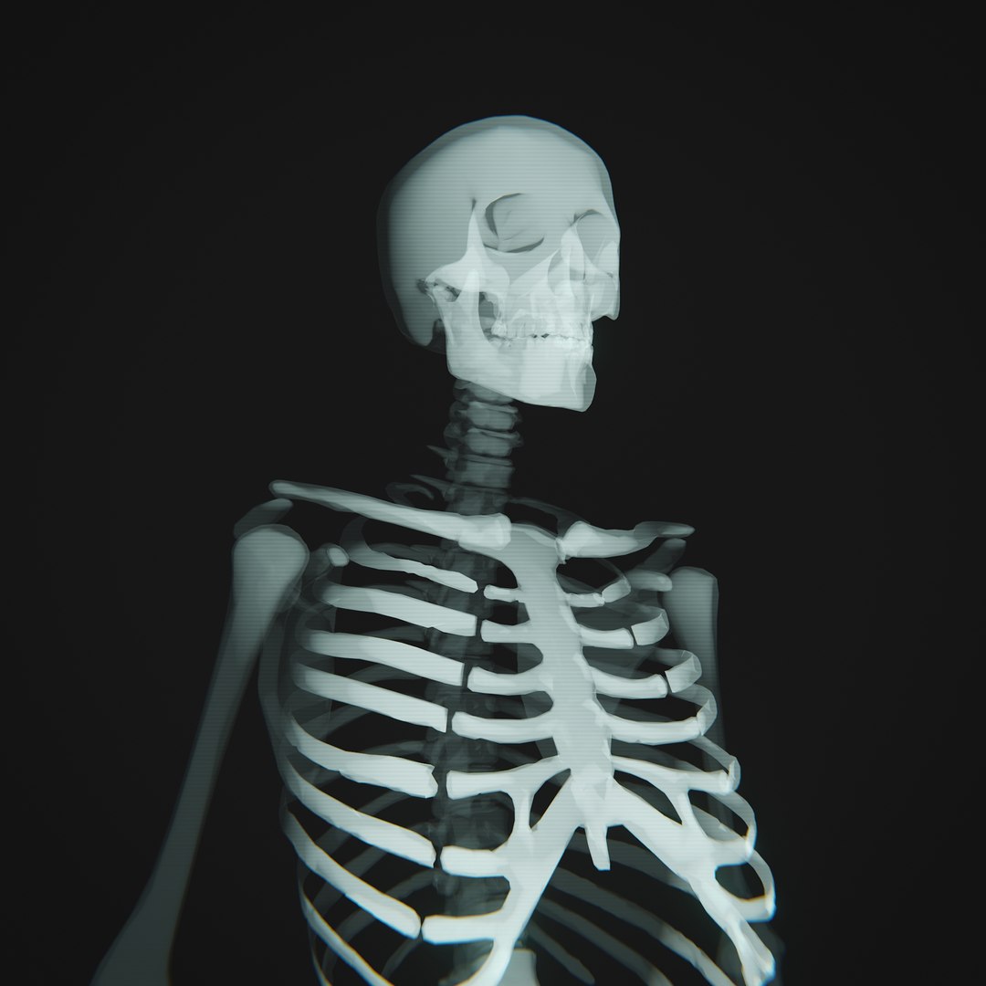 Human Xray Animated 3D Model - TurboSquid 1815348