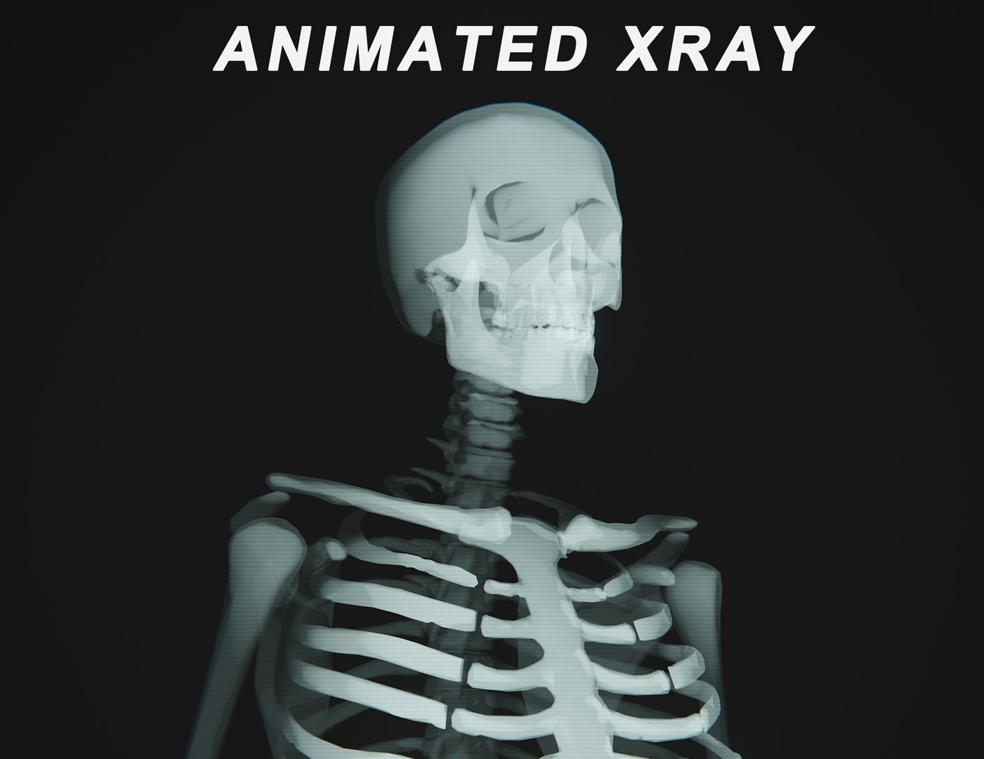 Human Xray Animated 3D Model - TurboSquid 1815348