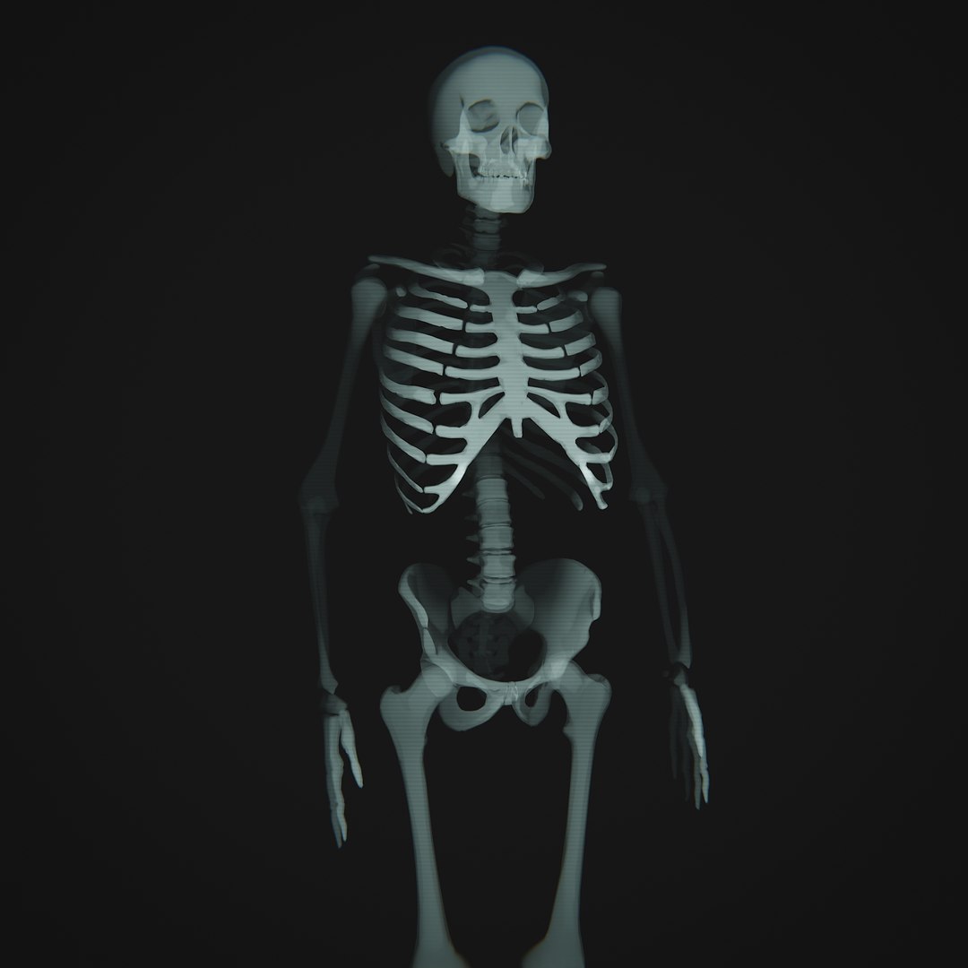 Human Xray Animated 3D Model - TurboSquid 1815348